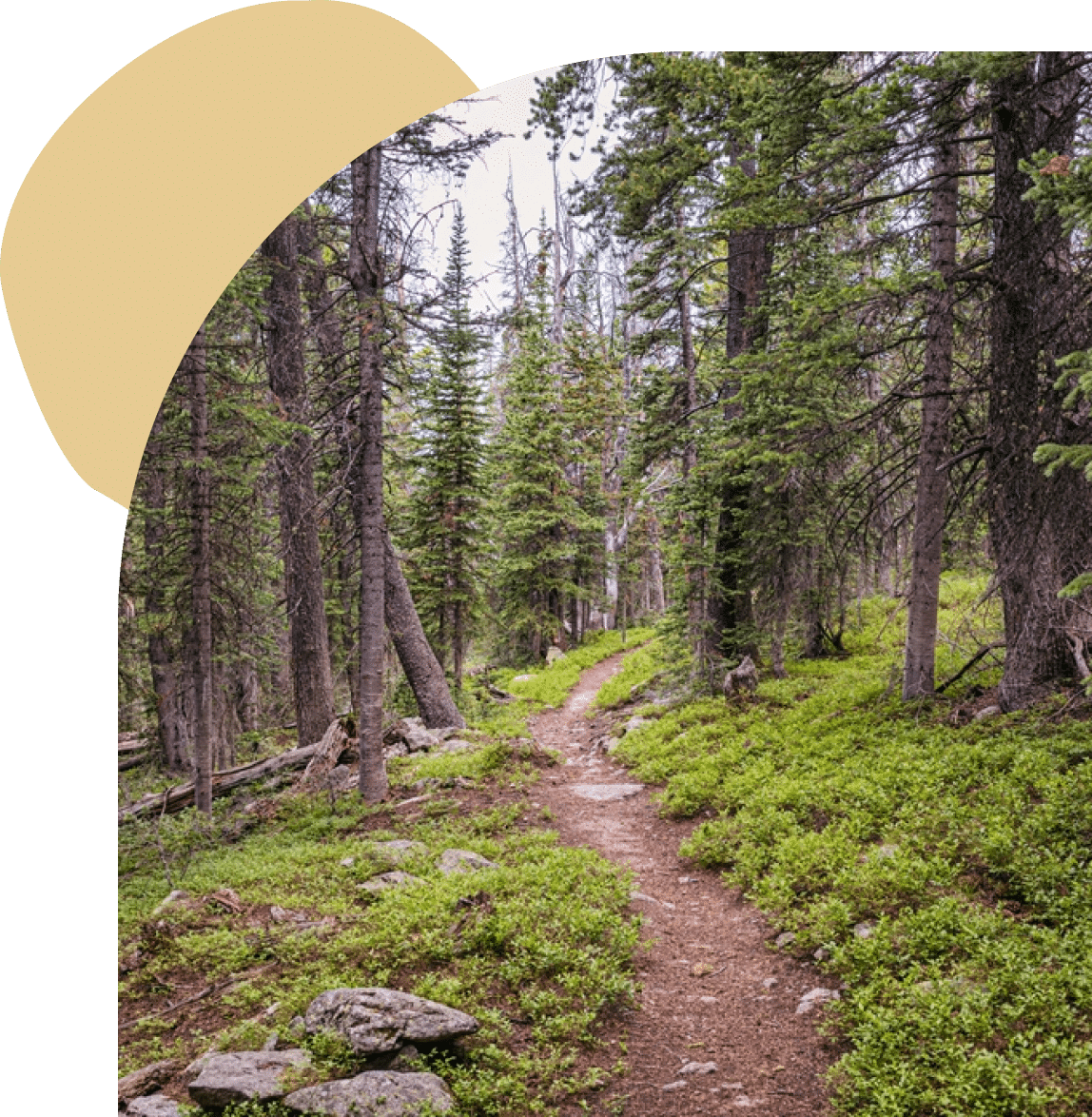 Home - Shoreline Health